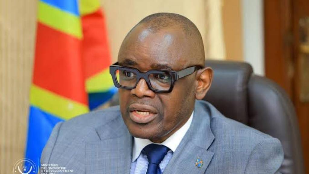 RDC: le cobalt, le germanium et le coltan désormais déclarés comme des ...